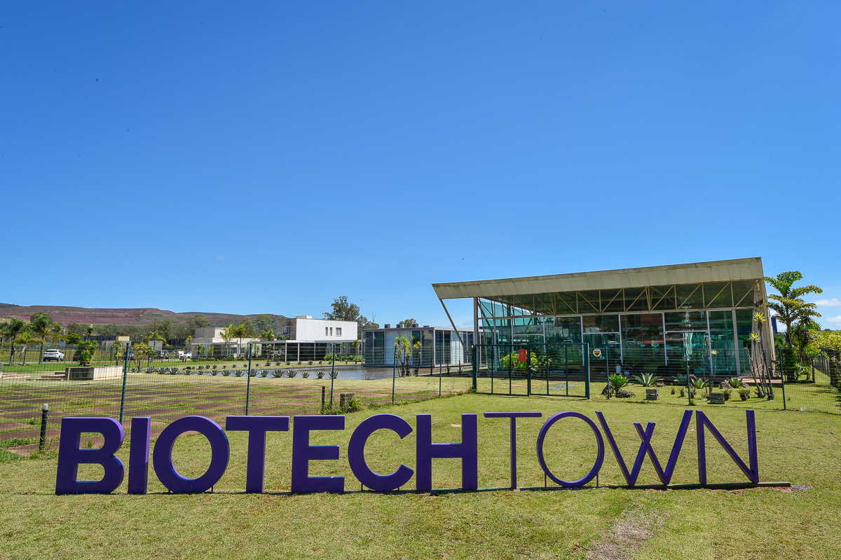 Biotecnologia: o que é e um guia completo sobre o assunto