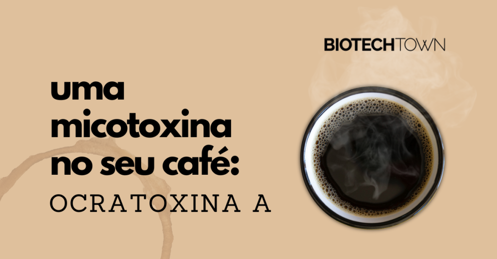 Uma micotoxina no seu café: a Ocratoxina A - BiotechTown